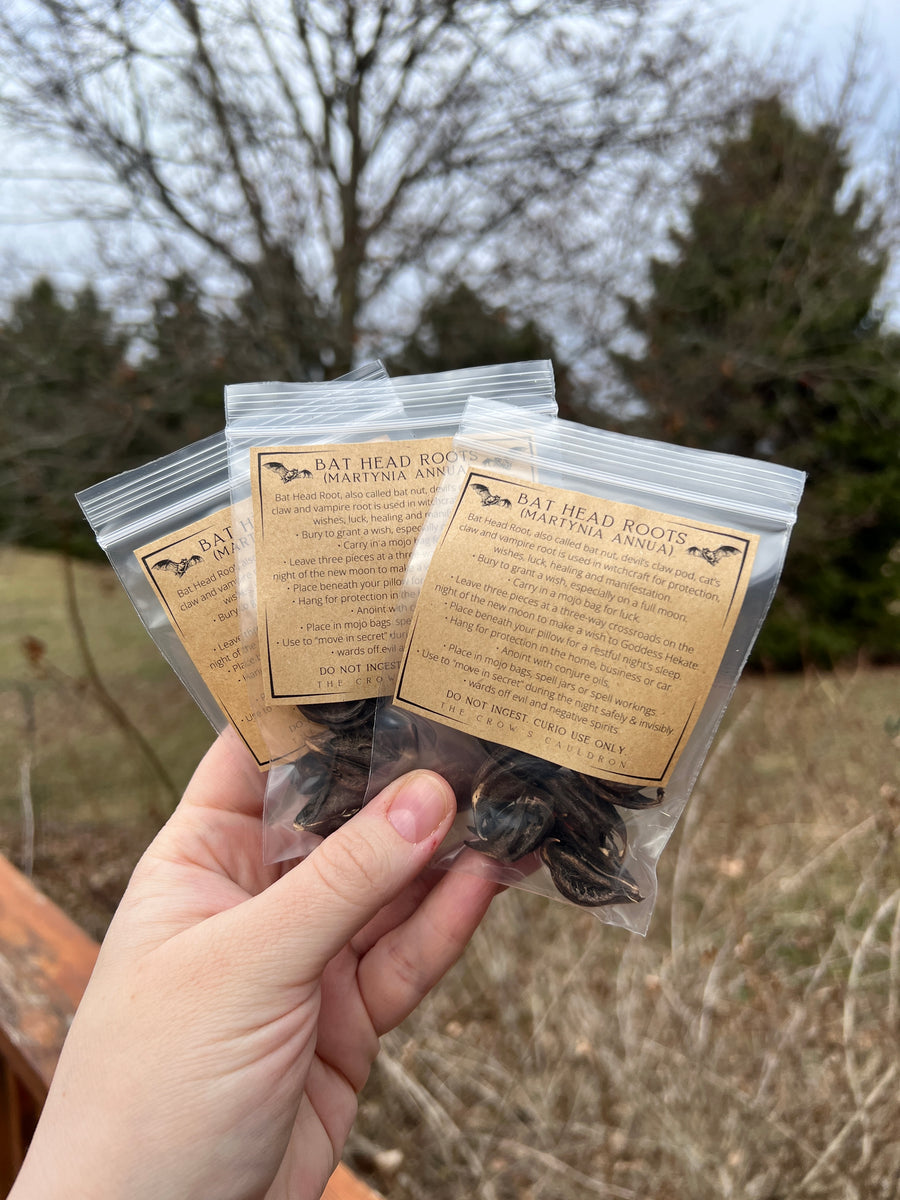 Bat Head Roots – The Crow's Cauldron